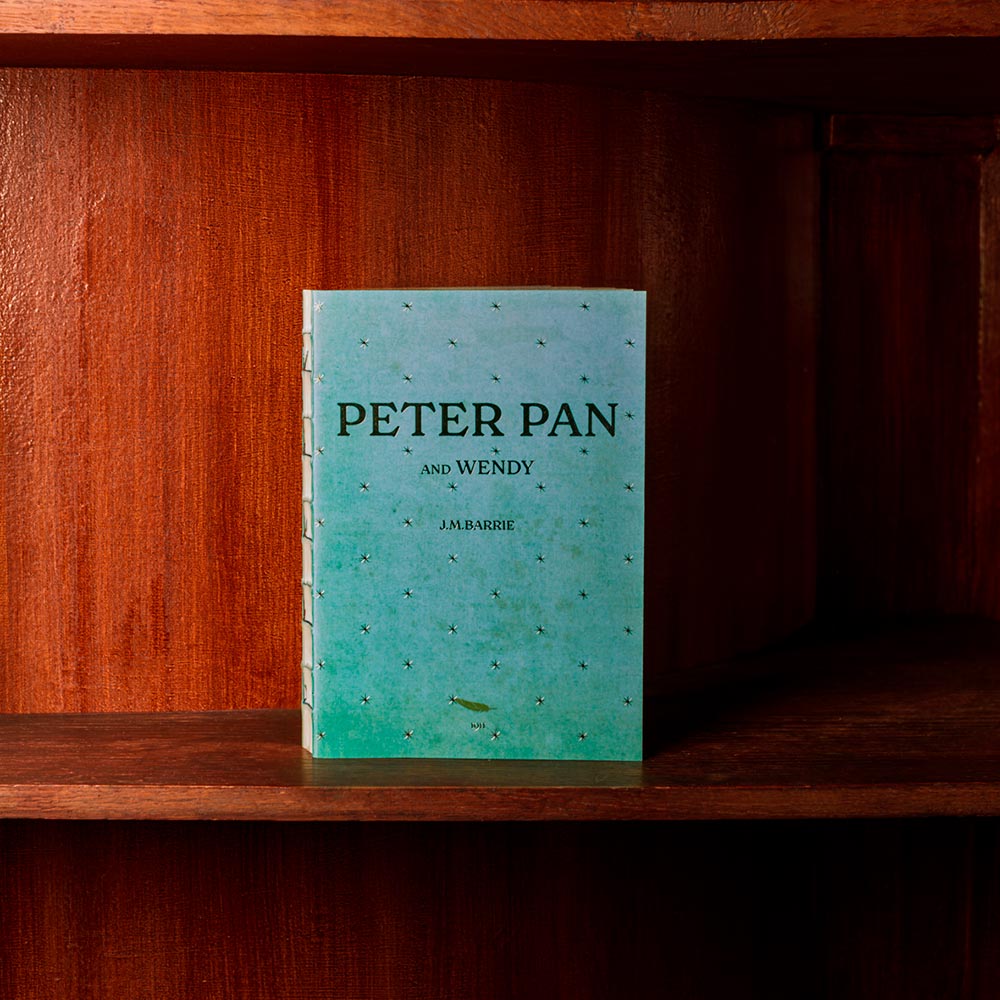 Peter Pan notebook