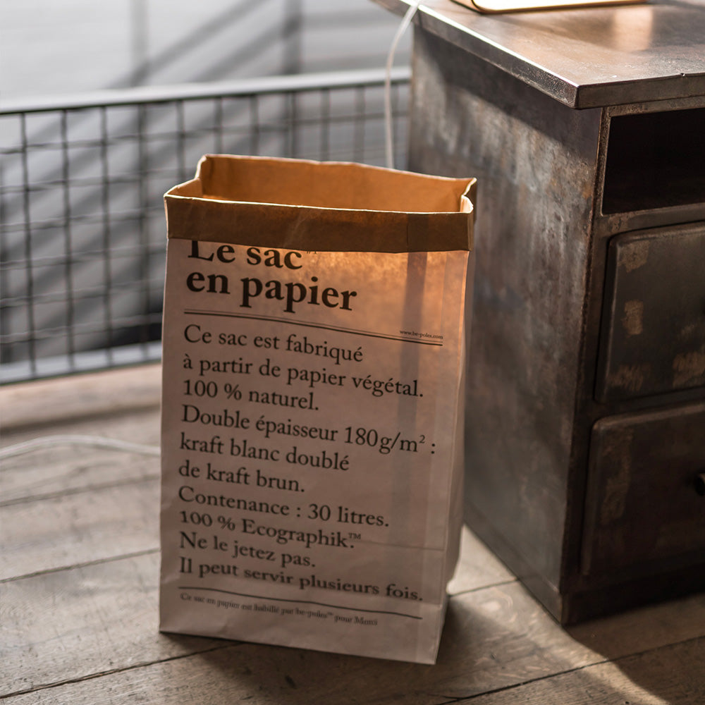 Large kraft paper bag